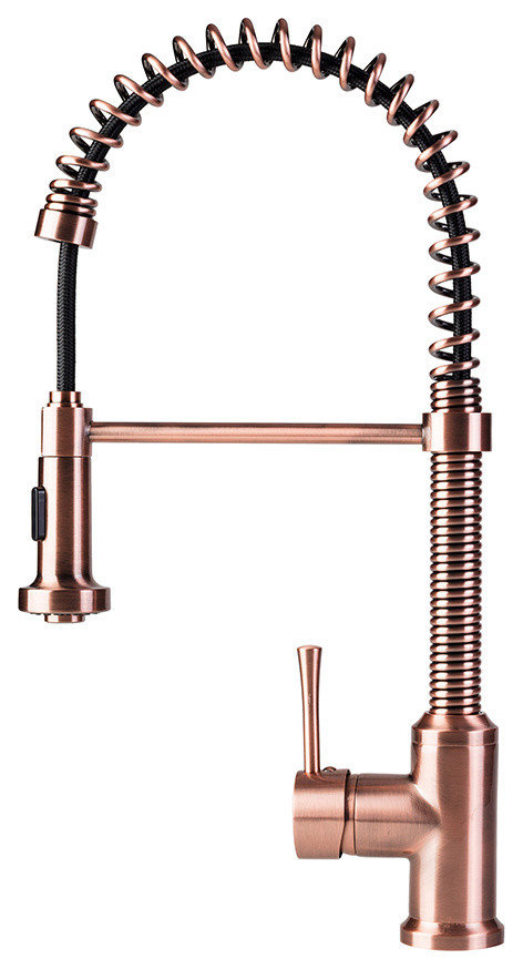 Residential Spring Coil Pull-Down Kitchen Faucet, Brushed Nickel ...