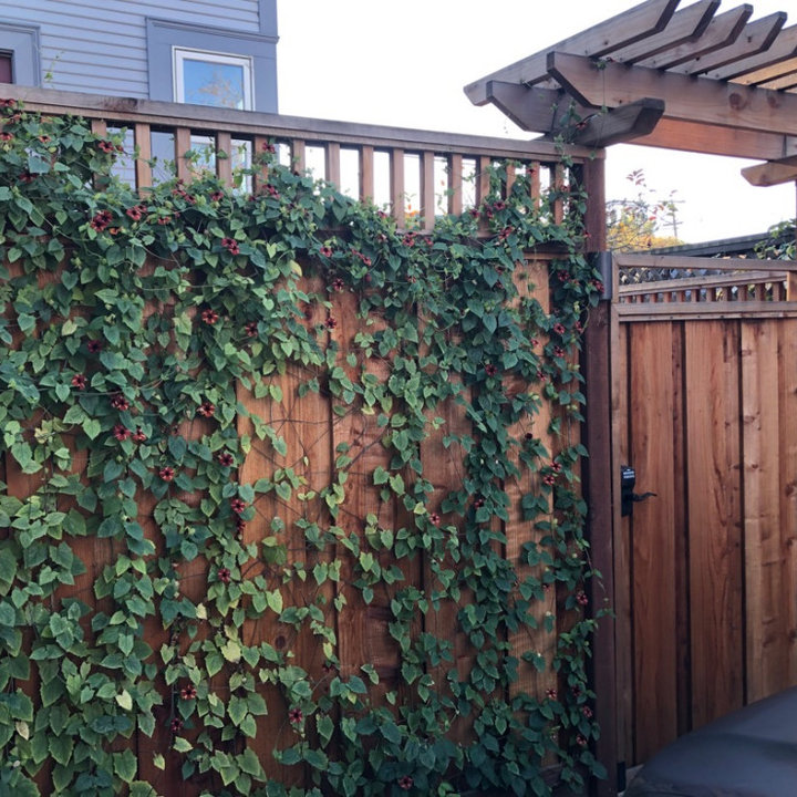 75 Gate Ideas You'll Love - April, 2026 | Houzz
