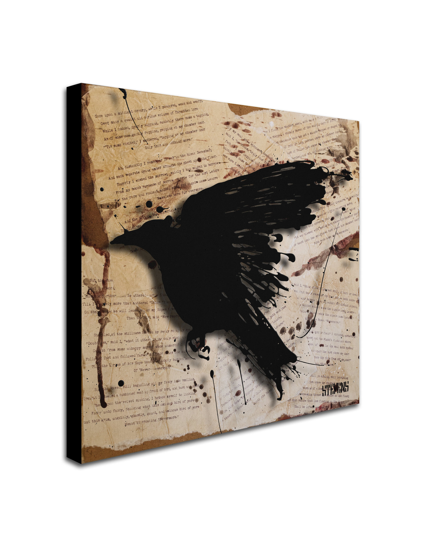 'The Raven 3' Canvas Art by Roderick Stevens, 14" x 14" - Contemporary ...