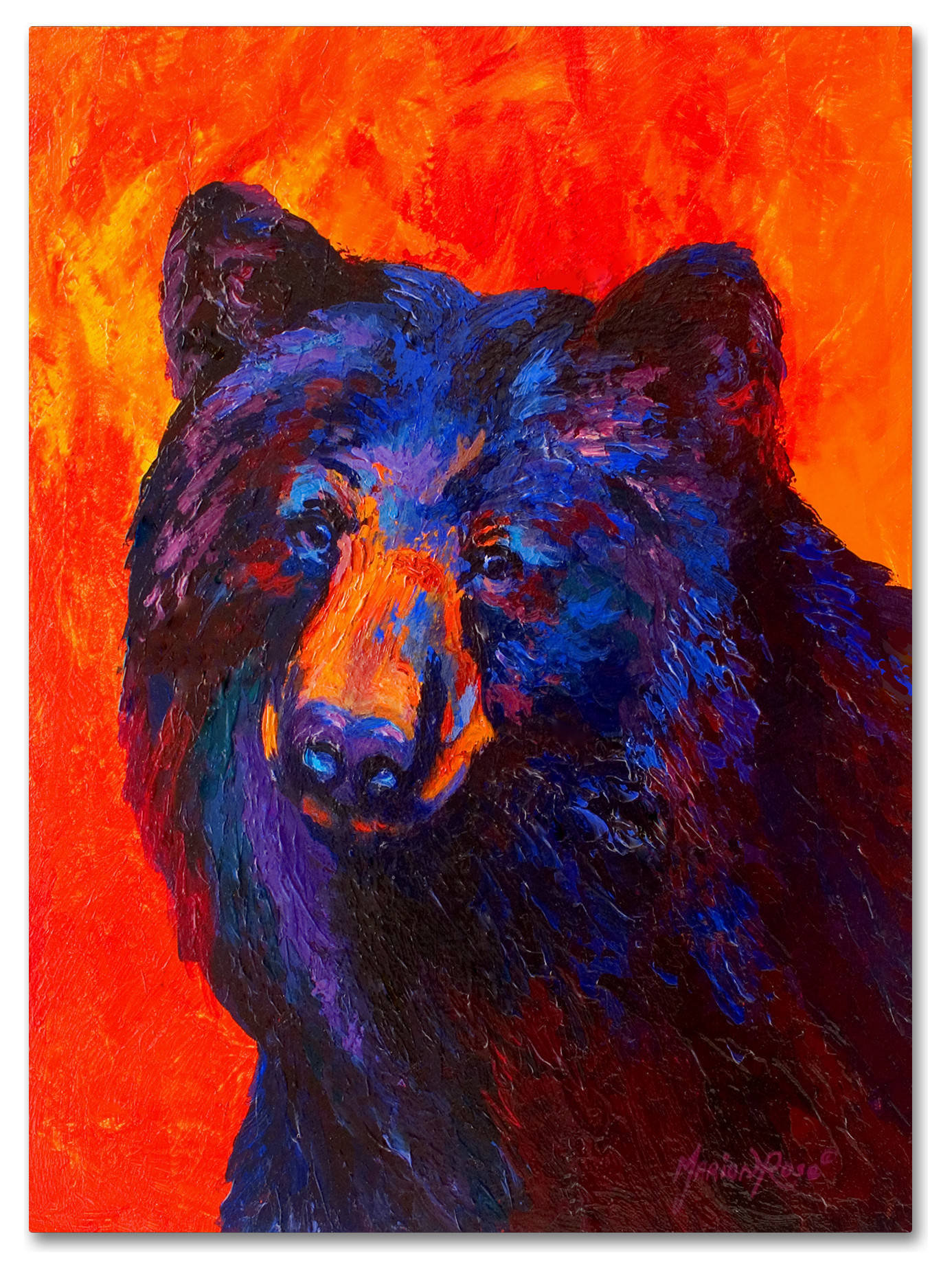 Marion Rose 'Thoughtful Black Bear' Canvas Art, 35"x 47" - Rustic ...