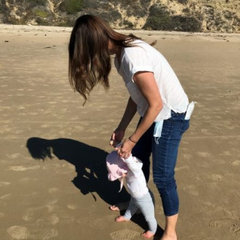 CAROLYN RUTLEDGE DESIGNS - Project Photos & Reviews - SACRAMENTO, US ...