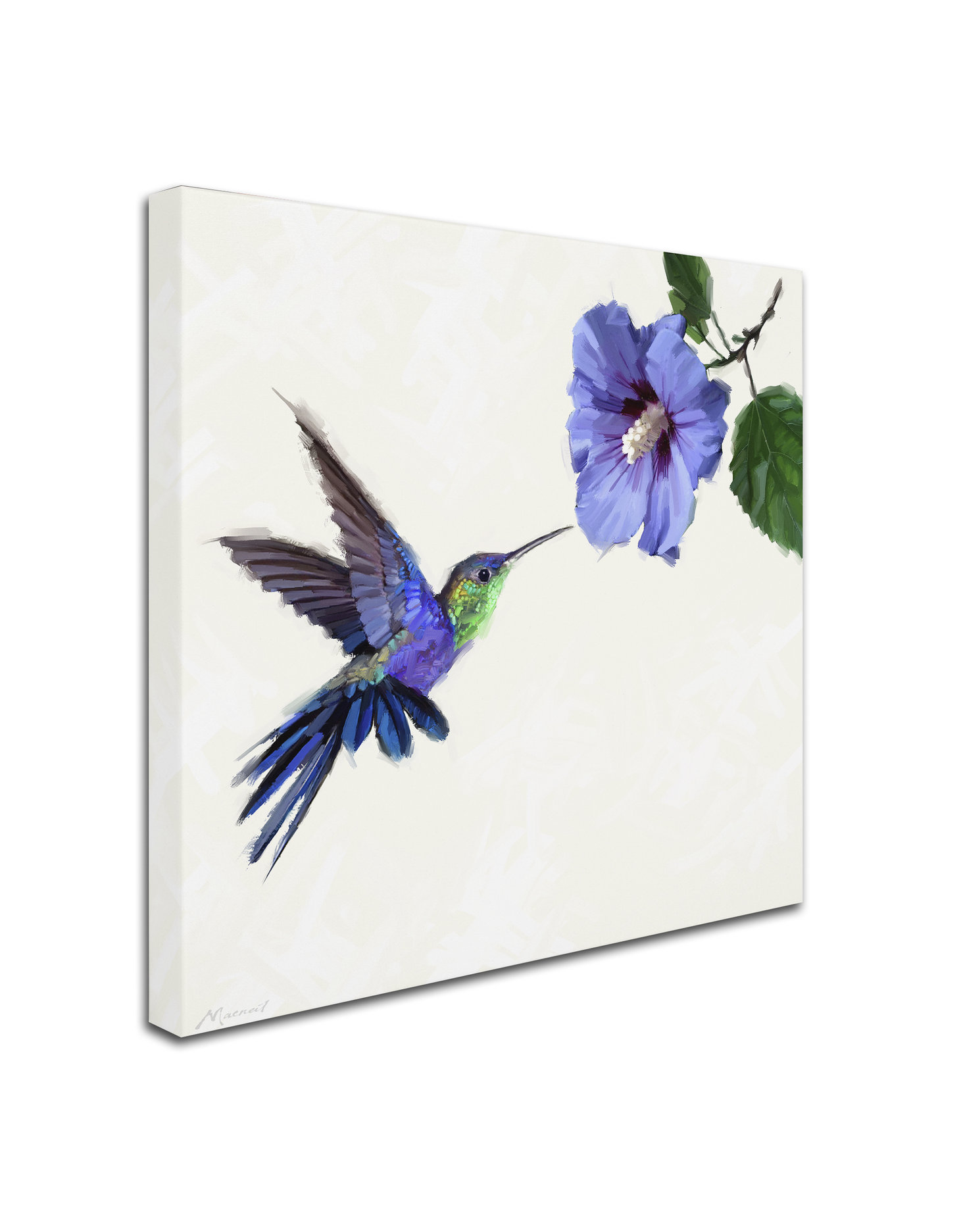 The Macneil Studio 'Humming Bird' Canvas Art, 24"x24" - Contemporary ...