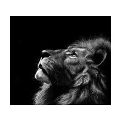 SOOR ENGINEERING BUREAU - Project Photos & Reviews - Kuwait, KW KW | Houzz