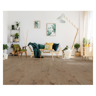 Ruby Splash, Riverstone Collection - Midcentury - Living Room - Orlando ...