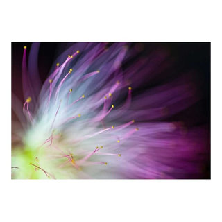 "The Will-O-The-Wisp" Digital Paper Print by Art Lionse, 24"x17", 24 ...