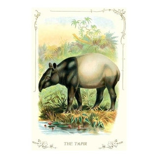 The Tapir, 12" x 18" - Traditional - Prints And Posters - by Buyenlarge ...