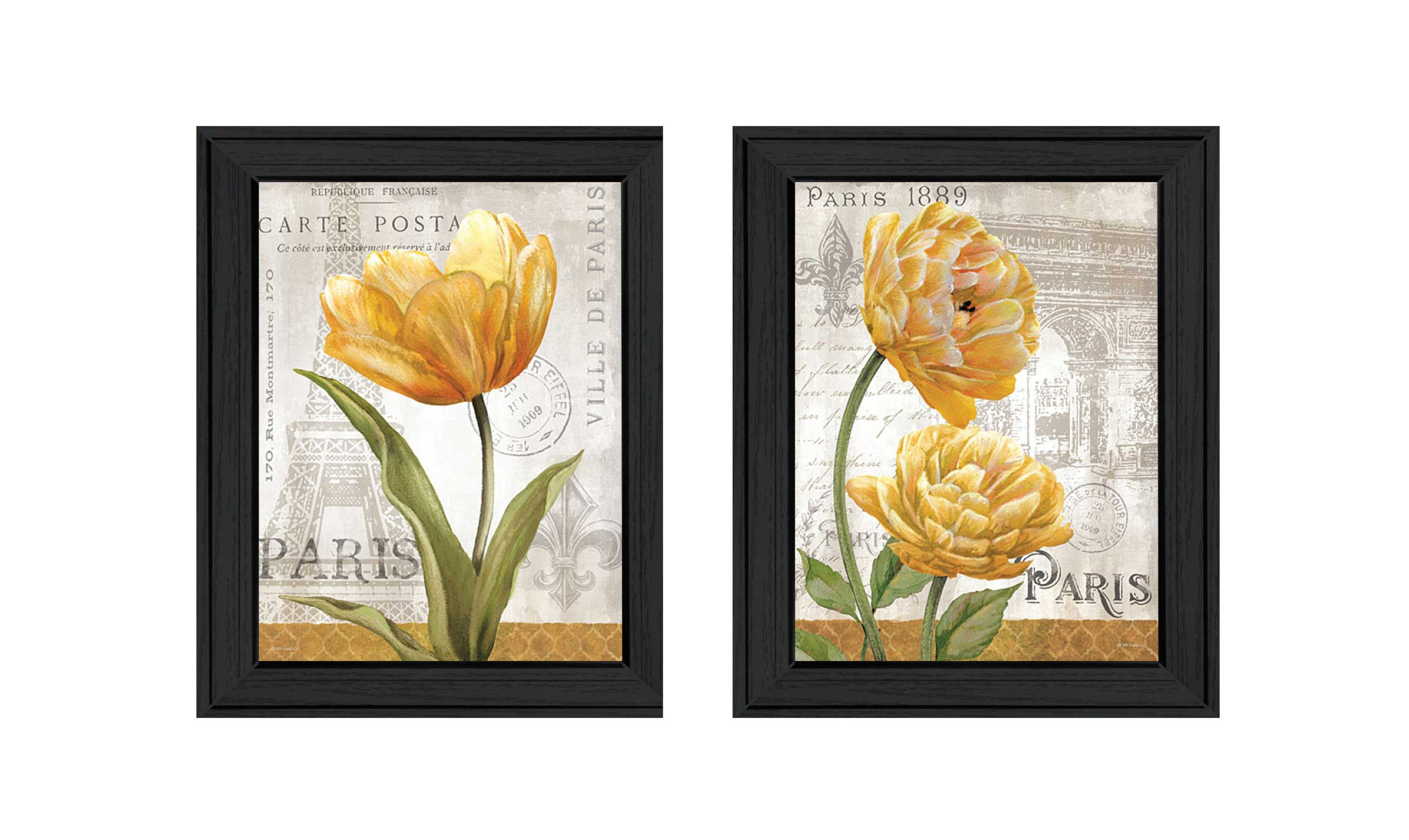 "Paris" Collection By Ed Wargo, Printed Wall Art, Ready To Hang, Black ...