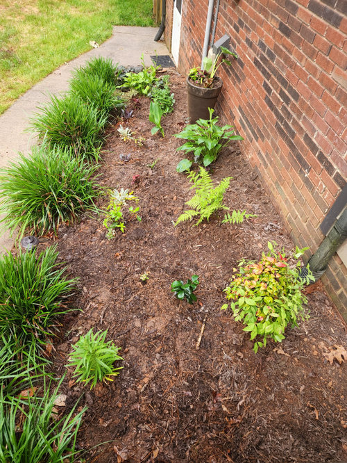 Part Shade garden so far, any suggestions