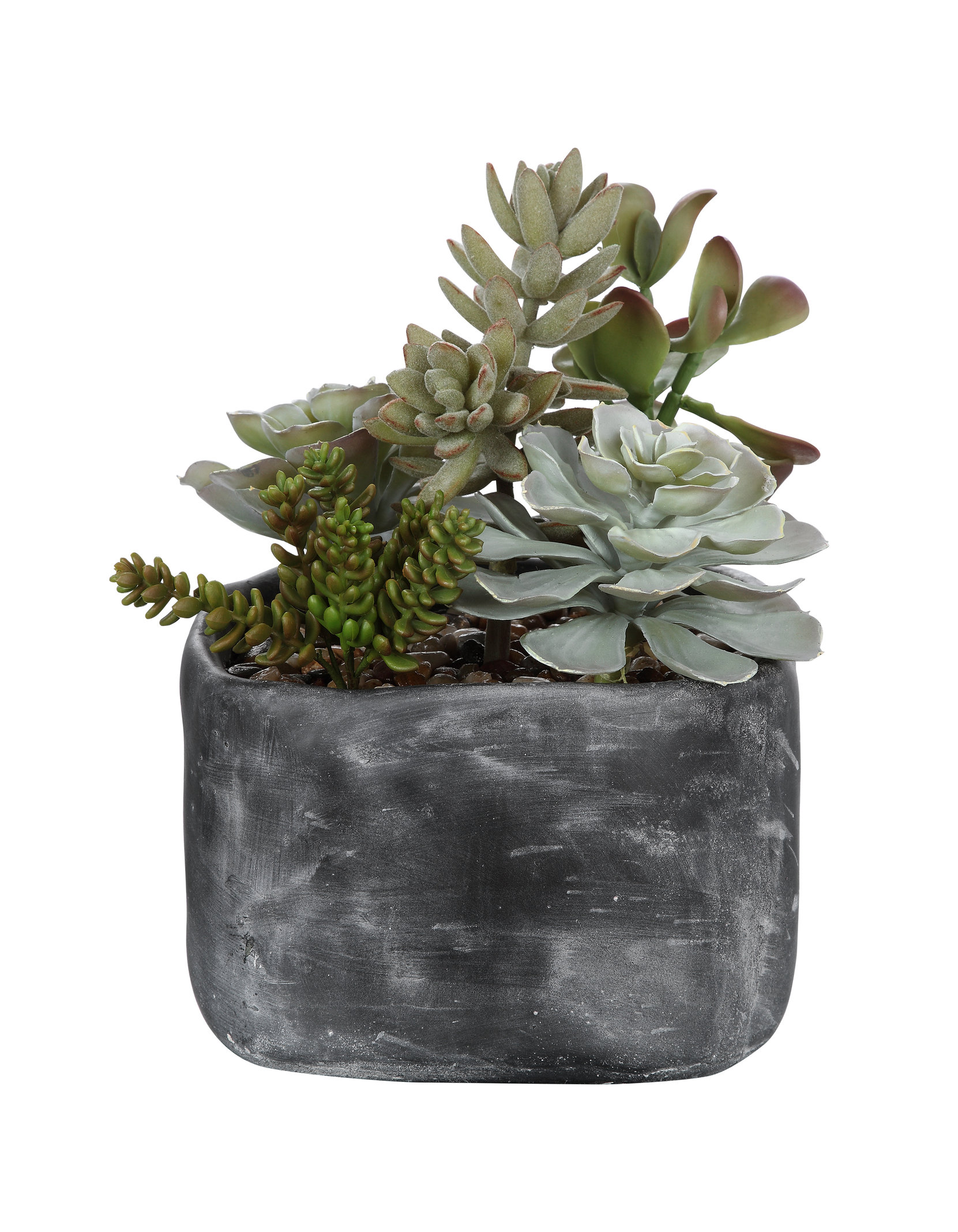 Alverio Succulents - Artificial Plants And Trees - by HedgeApple | Houzz