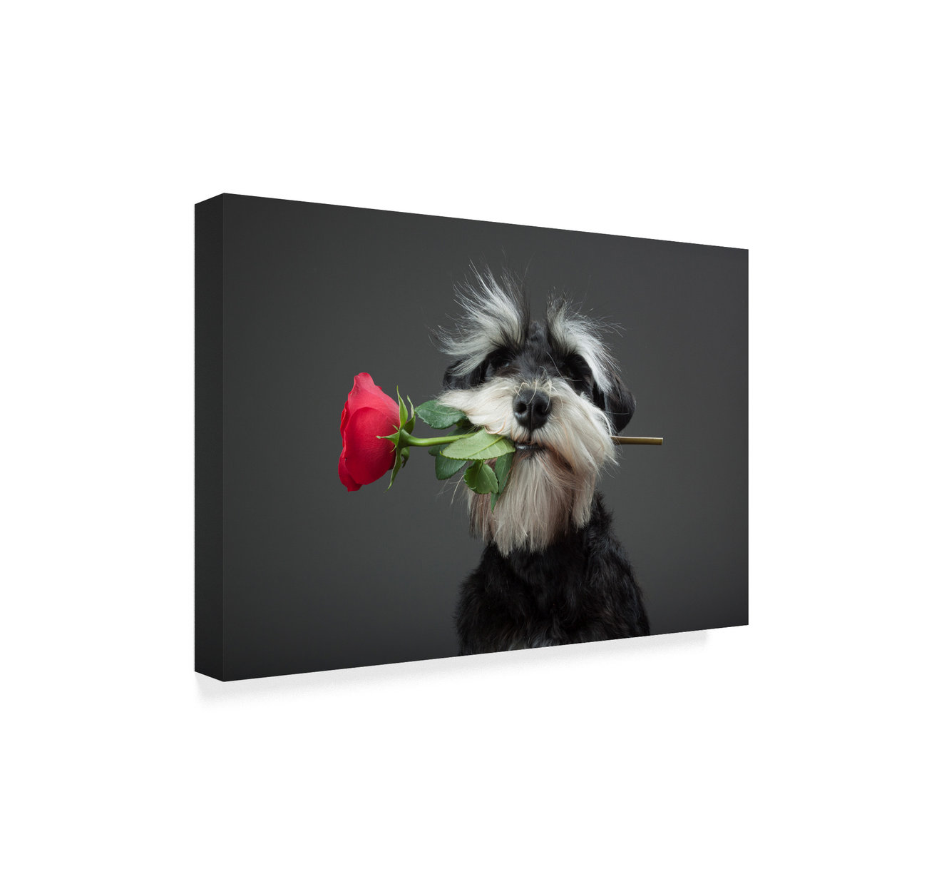 Adnan Mahmutovic 'Tango Dancer' Canvas Art, 19"x12" - Contemporary ...