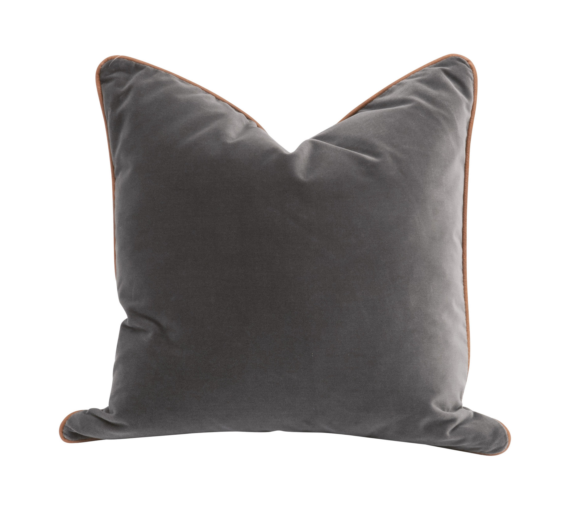 The Not So Basic 20" Essential Pillow, Set of 2 - Transitional ...