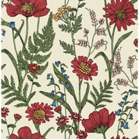 Arden Red Wild Meadow Wallpaper Sample, Swatch - Contemporary ...