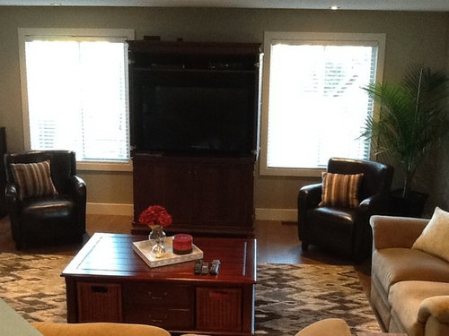 Need window treatment ideas for west facing windows