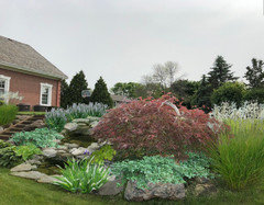 ideas for redo landscape