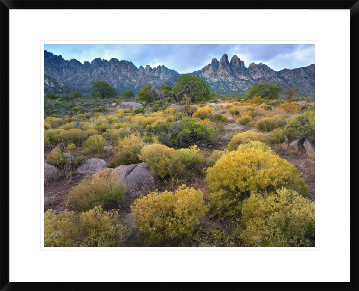 "Organ Mountains, Chihuahuan Desert, New Mexico" by Tim Fitzharris ...