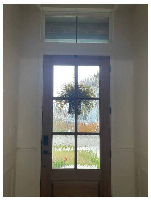 Front door sunlight dilemma | Houzz Forum