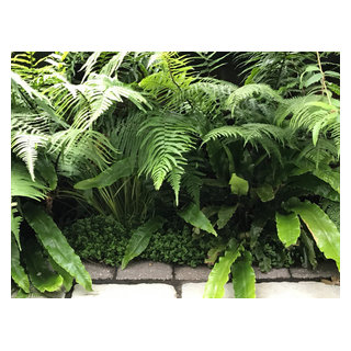 Small Front Garden - Modern - Garden - Manchester - by 4D Garden Design ...