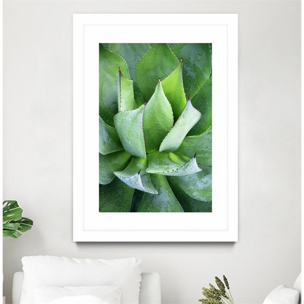 Giant Art 24x36 Yucca Study 1 Matted and Framed in Green - Contemporary ...