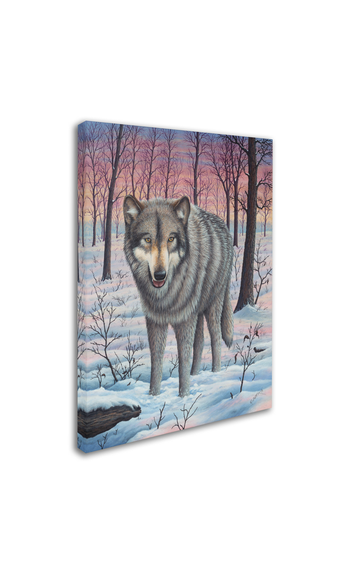 Robert Wavra 'Lone Wolf' Canvas Art, 35"x 47" - Rustic - Prints And ...