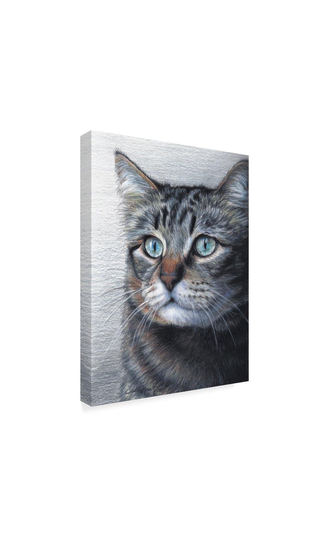 Carla Kurt 'Cat Portrait' Canvas Art, 24"x32" - Contemporary - Prints ...
