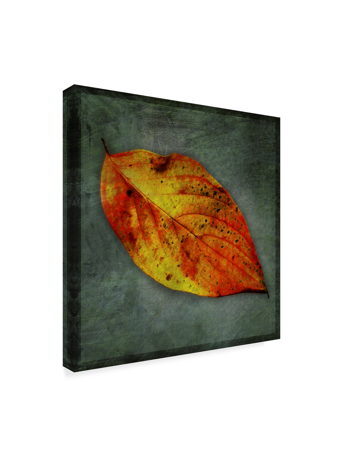 John W. Golden 'Dogwood Yellow' Canvas Art, 18"x18" - Contemporary ...