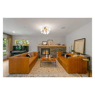 Mid Century/Transitional - Midcentury - Living Room - Minneapolis - by ...