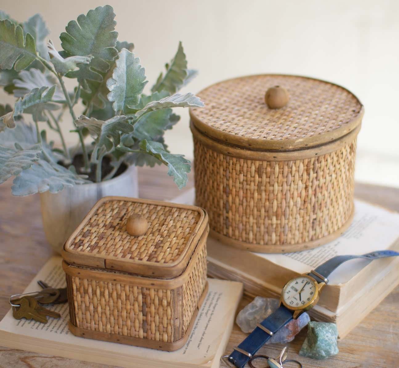 Modern Natural Cane Woven Boxes 2-Piece Set Circle/Square Container ...
