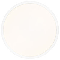 Gabi 13" LED Flush Mount, Matte White With Opal - Transitional - Flush ...