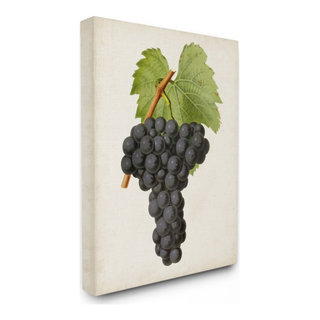 Vintage Fruit Grape Painting, 16"x20", 24x30 - Farmhouse - Prints And ...