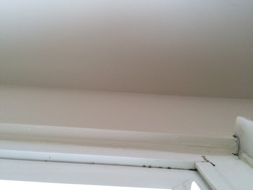 Low profile window treatment ideas?