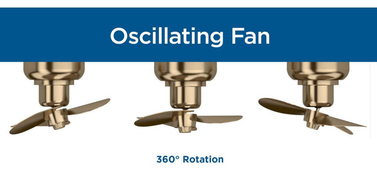 Burnett Collection Oscillating 3-Blade Ceiling Fan - Modern - Ceiling ...