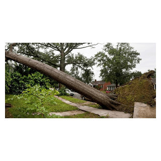 Emergency Tree Service Virginia Beach - House Exterior - Other - by ...