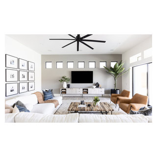 Raven Way Project - Modern - Living Room - Phoenix - by Lace and Grace ...