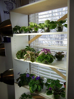 Share your pic of growing shelf.