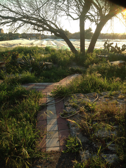 Come utilizzare 5000 m2 di terreno