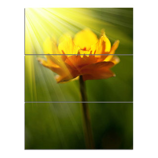 Yellow Flower in Spotlight, Flower Triptych Canvas Art Print, 28x36, 3 ...