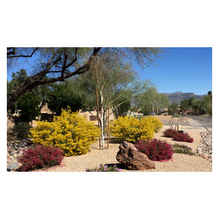 Southwestern Plants - American Southwest - Garden - Phoenix - by Noelle ...