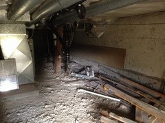 Houzz Call: What Gives You the Creeps at Home?