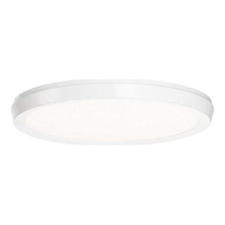 Argo LED Flush Mount, White - Transitional - Flush-mount Ceiling ...