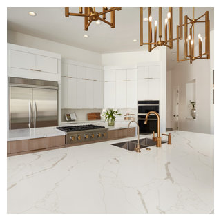 Calacatta Capella Quartz Kitchen Countertop - Transitional - Kitchen ...