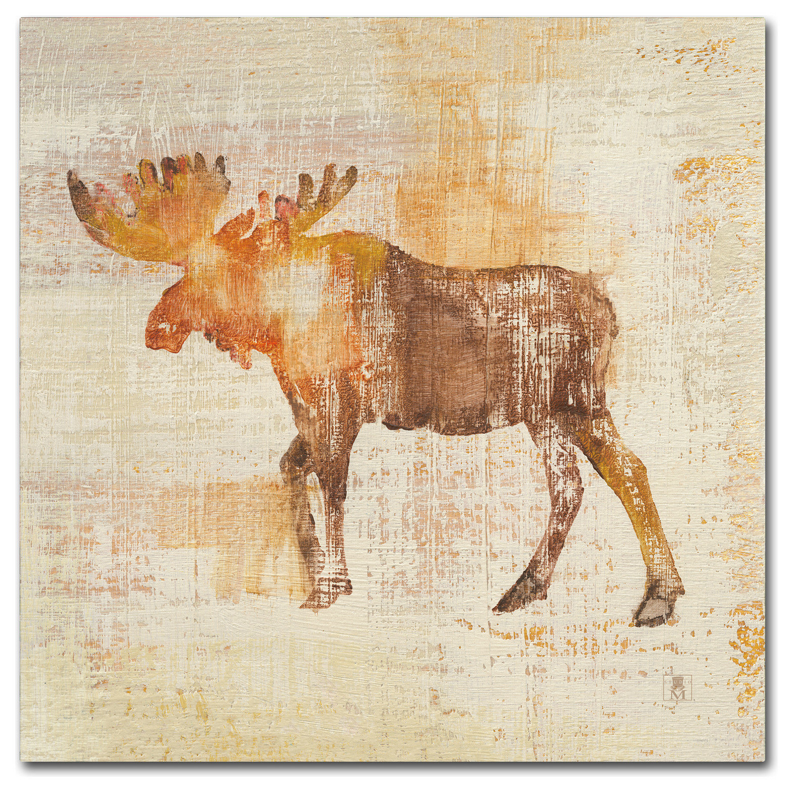 Studio Mousseau 'Moose Study' Canvas Art, 14"x14" - Rustic - Prints And ...