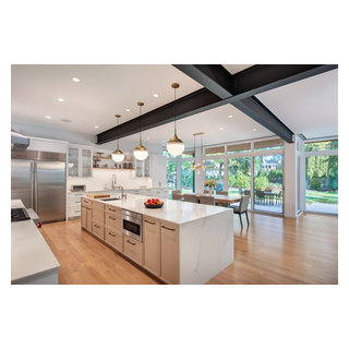 Modern Suburban Sanctuary - Modern - Kitchen - Chicago - by Amber Golob ...