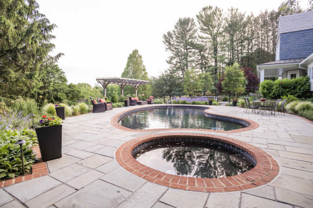 Yard of the Week: A Serene, Plant-Filled Backyard Sanctuary