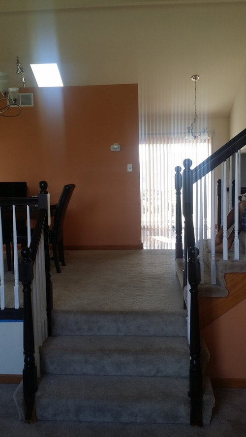 Help me decorate my house! | Houzz Forum