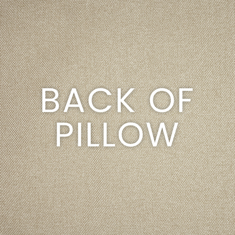 Glisten Pillow - Champagne, 24" x 24" - Contemporary - Decorative ...