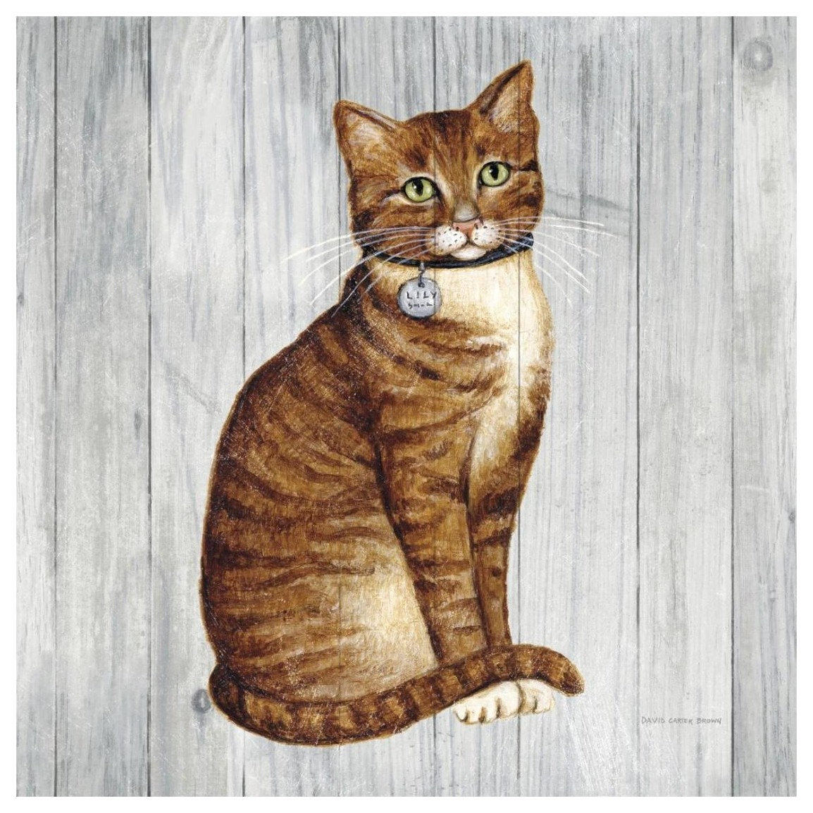 "Country Kitty IV on Wood" Digital Paper Print by David Carter Brown ...