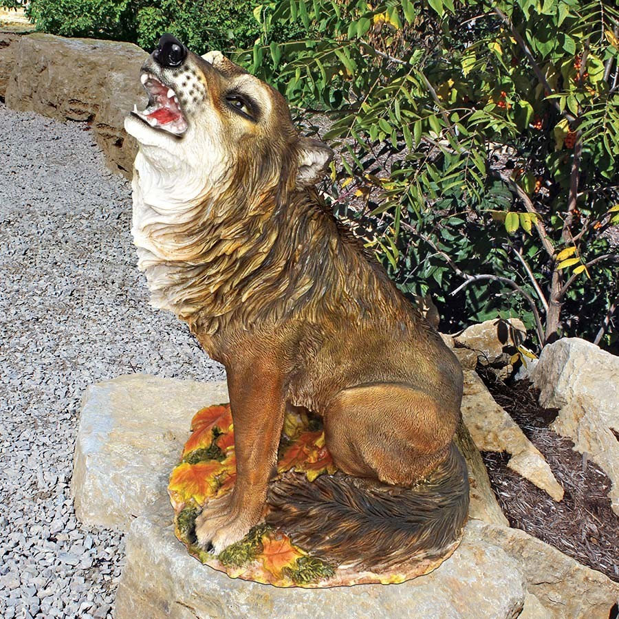Clever Coyote Statue - Traditional - Decorative Objects And Figurines ...