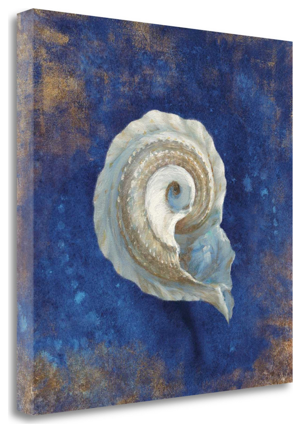 30" Rustic Deep Blue and Gold Conch Giclee Wrap Canvas Wall Art - Beach ...