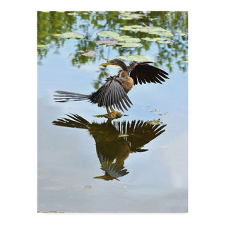 "Anhinga" by Robert Michaud, Canvas Art, 32"x24" - Contemporary ...