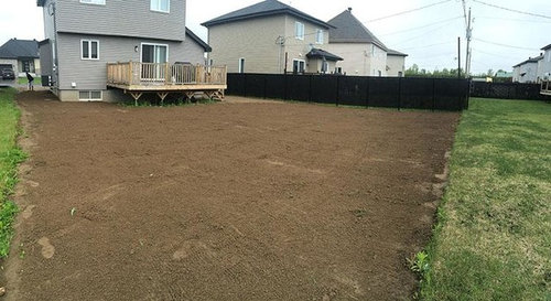 Start lawn from scratch